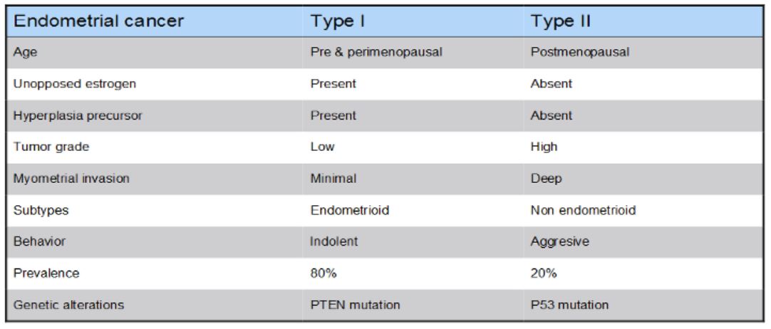 Endometrial Cancer Types – Hysteroscopy Newsletter
